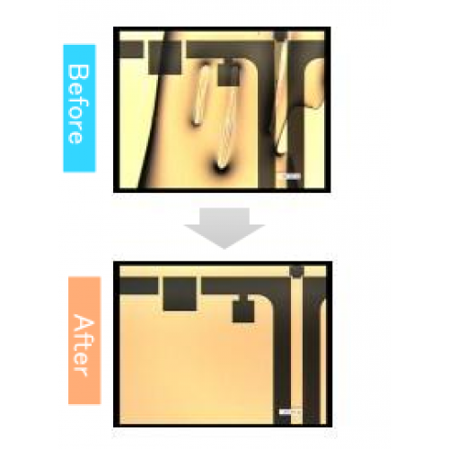 Photomask Cleaner Model: TW-300
